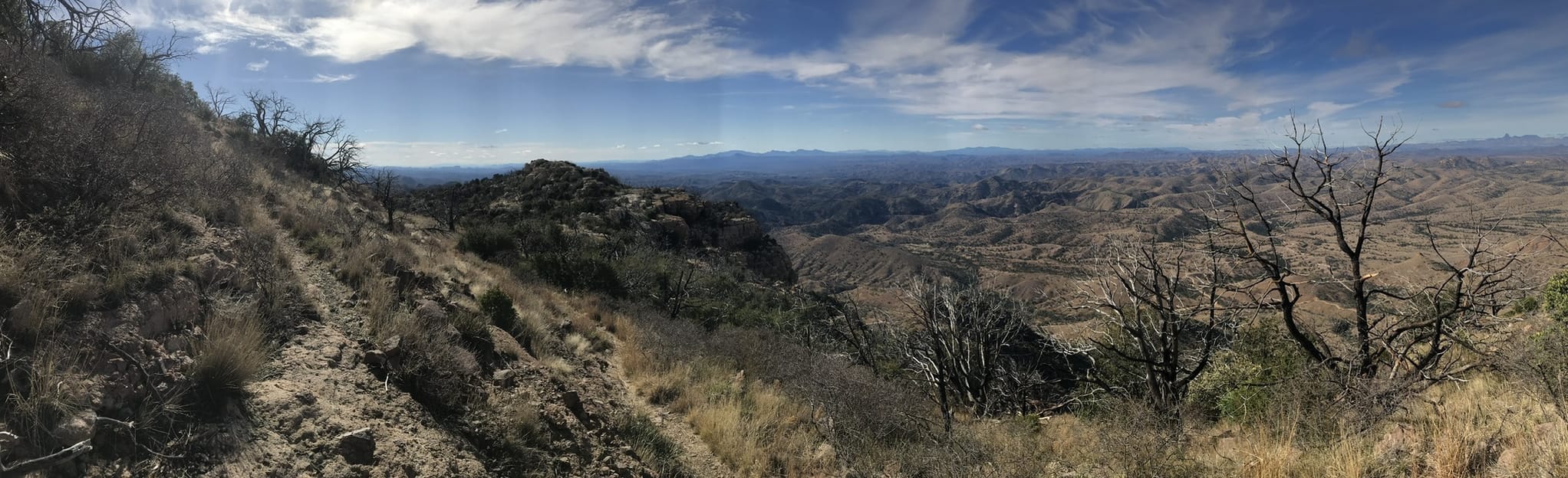 Atascosa Lookout Trail, Arizona - 82 Reviews, Map | AllTrails