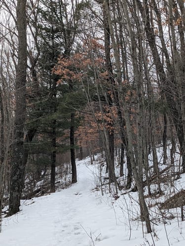 Best Hikes and Trails in Mount Morris Hills County Park | AllTrails