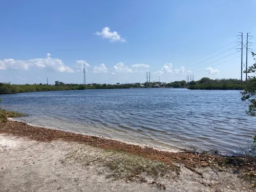 Best Hikes and Trails in North Anclote River Nature Park | AllTrails