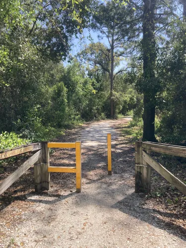 Best Hikes and Trails in North Anclote River Nature Park | AllTrails