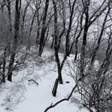 Fishkill Ridge Loop via Overlook and Fishkill Ridge Trail, New York ...
