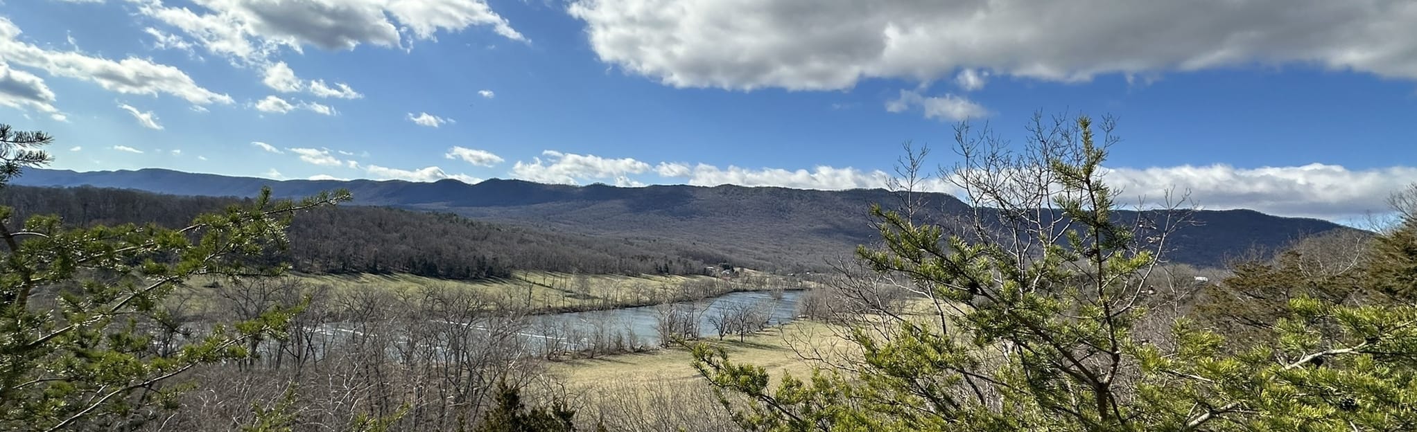 Point Trail to Wildcat Ridge Loop, Virginia - 146 Reviews, Map | AllTrails