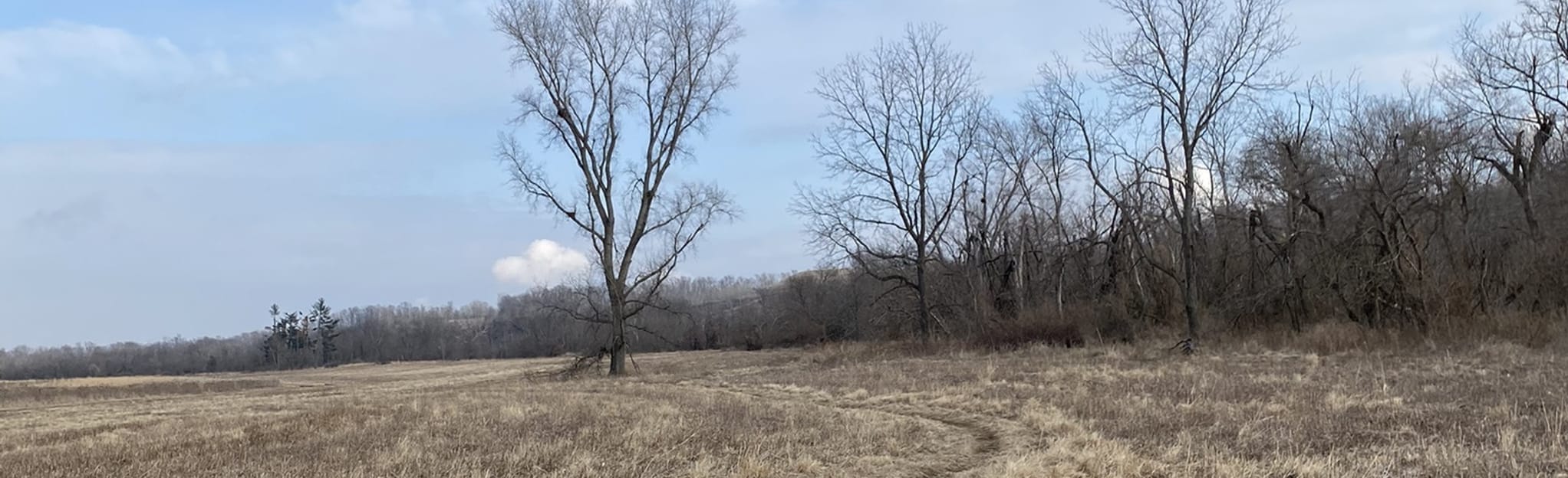 Sac and Fox Trail, Iowa - 51 Reviews, Map | AllTrails