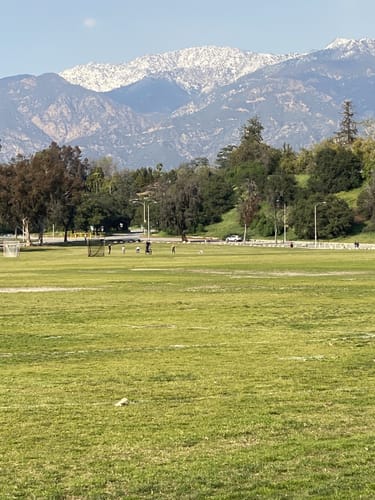 Best Hikes and Trails in Brookside Park | AllTrails