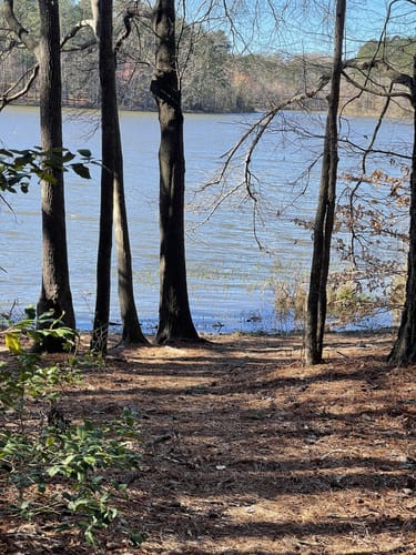 Best Hikes and Trails in Lake Benson Park | AllTrails