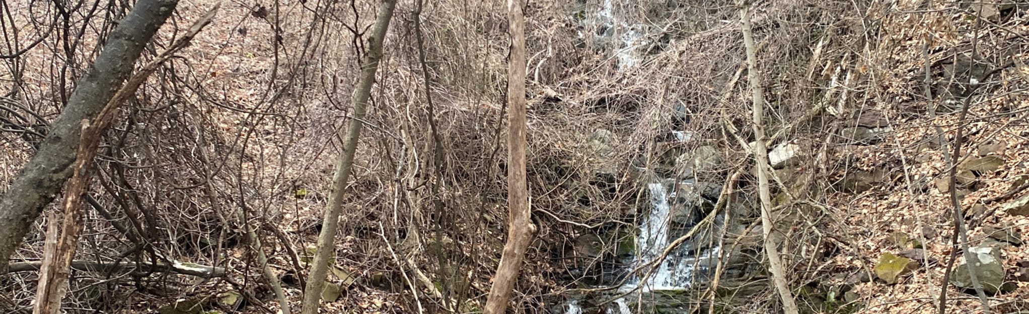 Long Path Trail: 168 Reviews, Map - New York | AllTrails