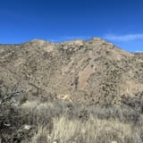Cookes Peak Trail, New Mexico - 60 Reviews, Map | AllTrails