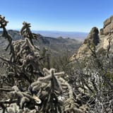 Cookes Peak Trail, New Mexico - 60 Reviews, Map | AllTrails