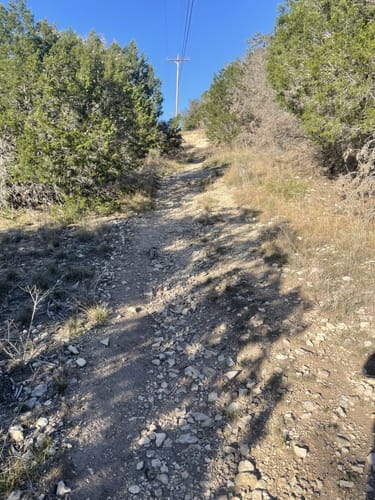 Best Hikes and Trails in Pace Bend Park | AllTrails