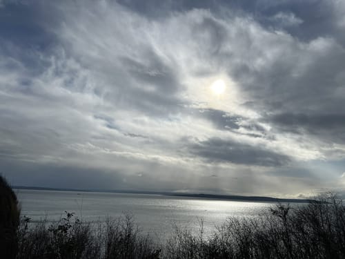 Best Hikes and Trails in Admiralty Inlet Natural Area Preserve | AllTrails