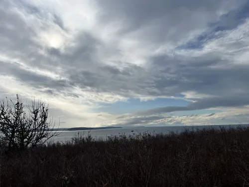 Best Hikes and Trails in Admiralty Inlet Natural Area Preserve | AllTrails