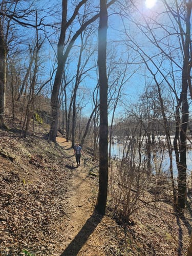 Best Hikes and Trails in Two Rivers Mountain Bike Park | AllTrails