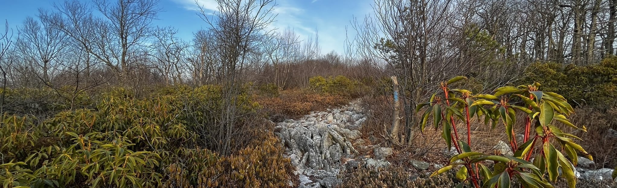 Scenic South Trail to Appalachian Trail via Ashfield Road, Pennsylvania ...