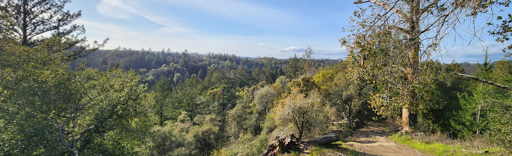 DeLaveaga Park Trail, California - 556 Reviews, Map | AllTrails