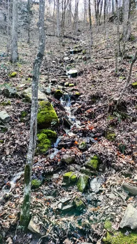 Best Hikes and Trails in Long Pool Recreation Area | AllTrails