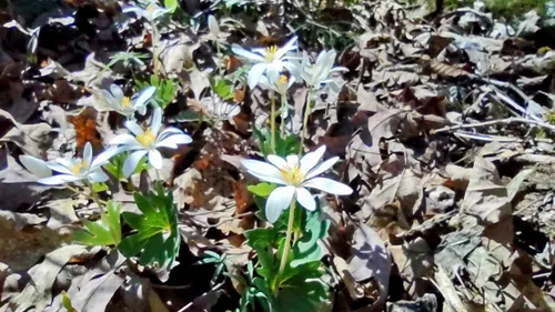 Best Hikes and Trails in Long Pool Recreation Area | AllTrails