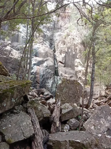 Best Hikes and Trails in Russell Ridge Conservation Area | AllTrails