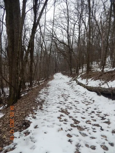 Best Hikes and Trails in Yucatan | AllTrails