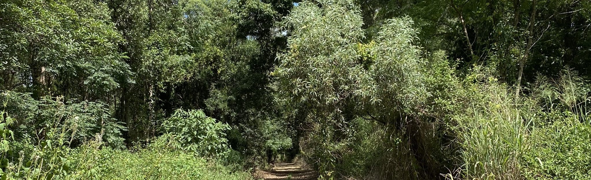 Yugar Tunnel, Queensland, Australia - 22 Reviews, Map | AllTrails