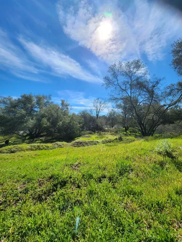 Best Hikes and Trails in American River Parkway | AllTrails