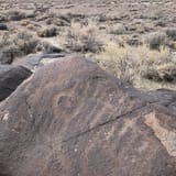 Grimes Point Petroglyphs, Nevada - 72 Reviews, Map | AllTrails