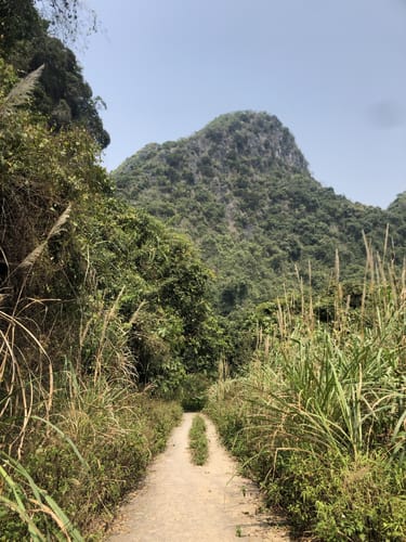 Best Hikes and Trails in Cat Ba National Park | AllTrails