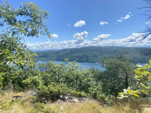 Best Hikes and Trails in Rogers Rock Park | AllTrails