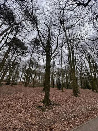 Best Hikes and Trails in Warley Woods Park | AllTrails