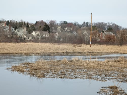 Best Hikes and Trails in Fox River County Park | AllTrails