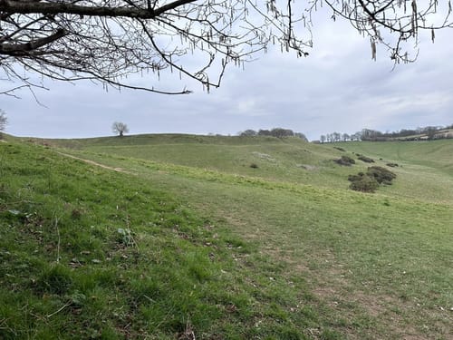 Best Hikes and Trails in Ham Hill Country Park | AllTrails