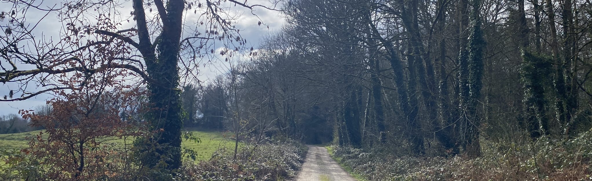 Mountshannon Woodland Park Loop: 7 Reviews, Map - County Clare, Ireland ...