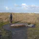 Long Beach Boardwalk and Discovery Trail Loop, Washington - 118 Reviews ...