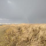 Long Beach Boardwalk and Discovery Trail Loop, Washington - 118 Reviews ...