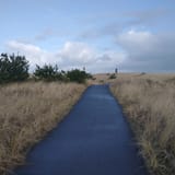 Long Beach Boardwalk and Discovery Trail Loop, Washington - 118 Reviews ...