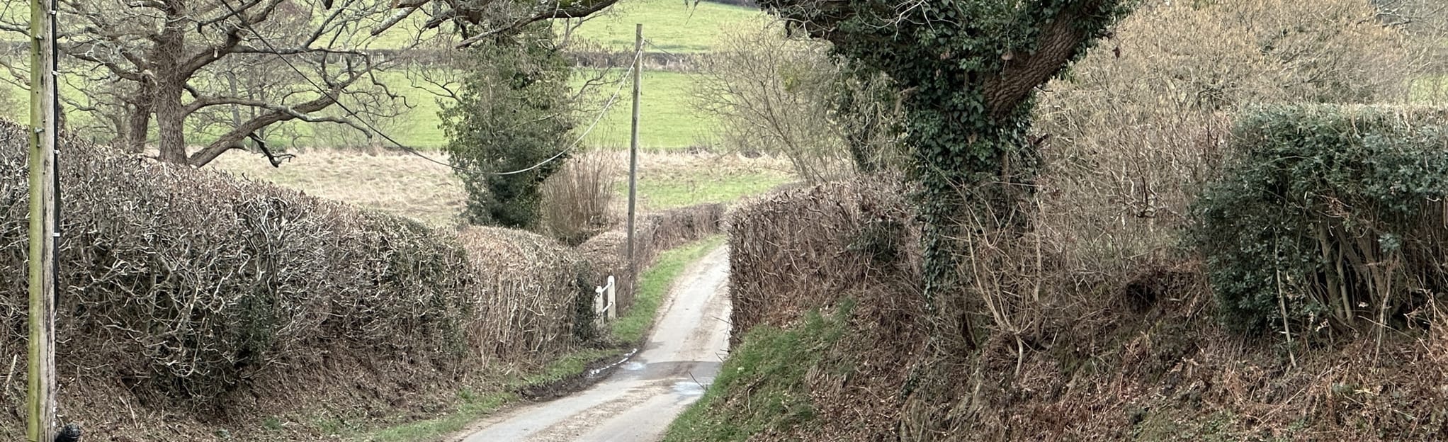 Batts Wood Circular: 11 Reviews, Map - East Sussex, England | AllTrails