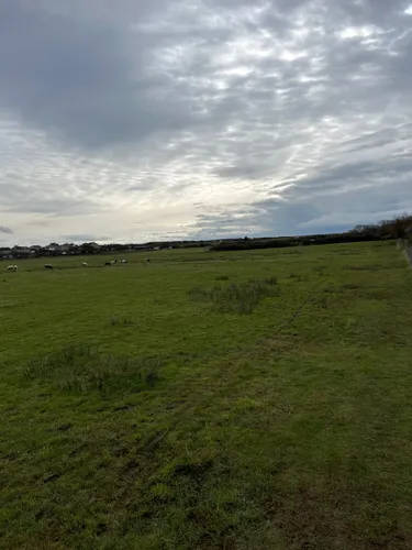 Best Hikes and Trails in North Walney National Nature Reserve | AllTrails