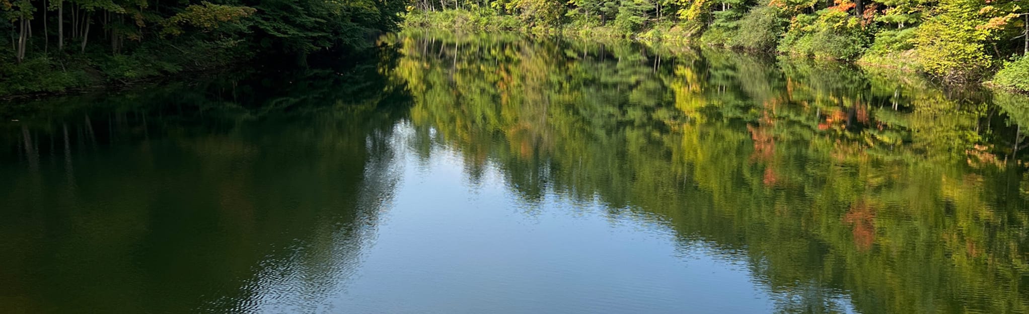 Mount Hope Reservoir Long Loop, New York - 66 Reviews, Map | AllTrails