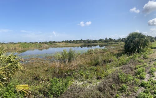 2023 Best trails in Cockroach Bay Nature Preserve | AllTrails