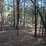 Saunders Springs Nature Preserve Loop, Kentucky - 400 Reviews, Map ...