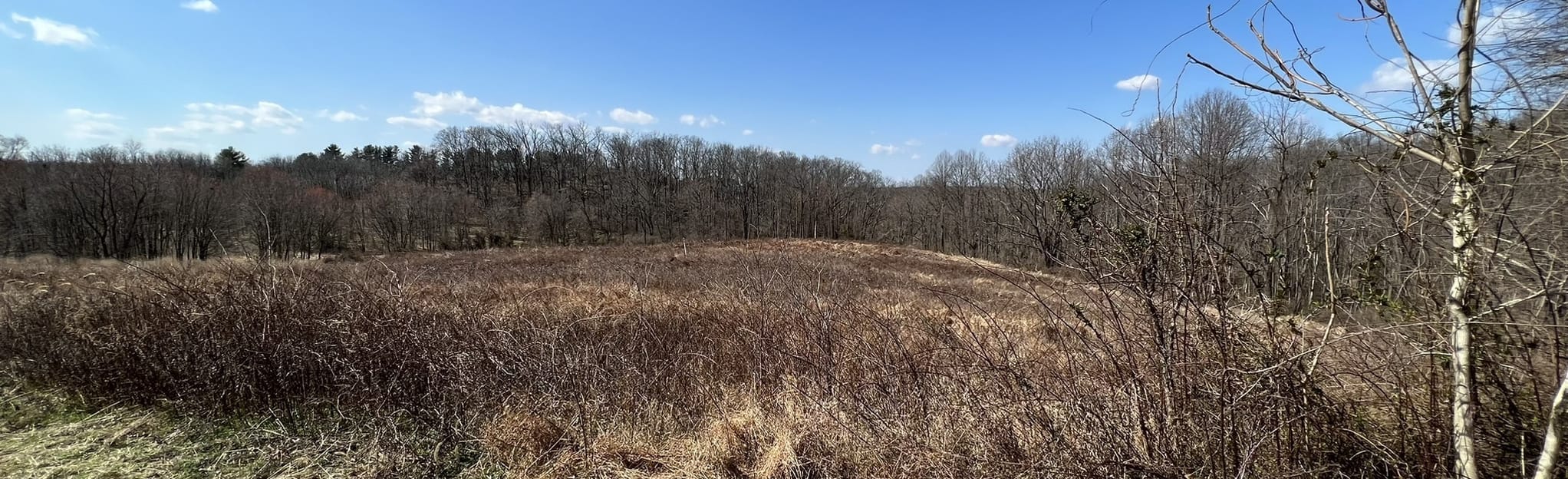 Western Regional Park Loop Trail, Maryland - 223 Reviews, Map | AllTrails