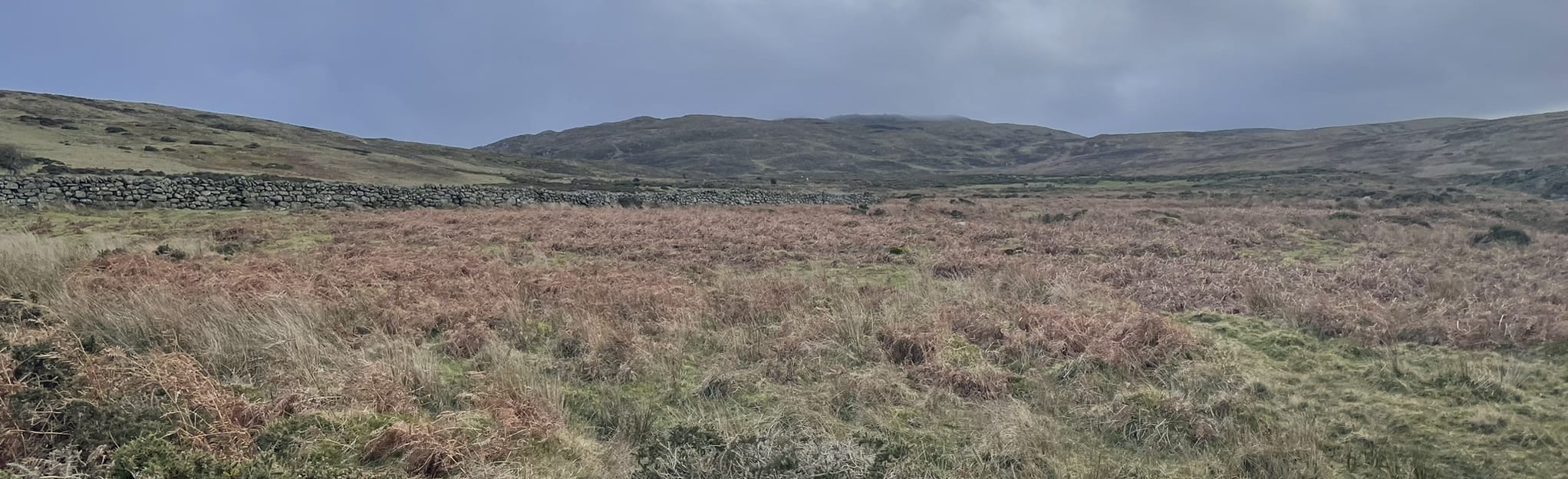 Capelulo and Craig Hafodwen Circular - Conwy, Wales | AllTrails