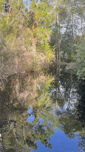 Best Hikes and Trails in El Dorado East Regional Park | AllTrails