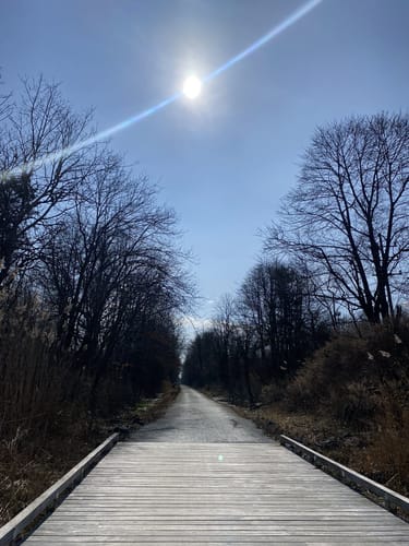 Best Hikes and Trails in Southern Lehigh Living Memorial Community Park ...