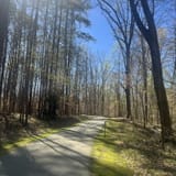 Cape Fear River Trail, North Carolina - 965 Reviews, Map | AllTrails