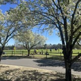 Cape Fear River Trail, North Carolina - 965 Reviews, Map | AllTrails