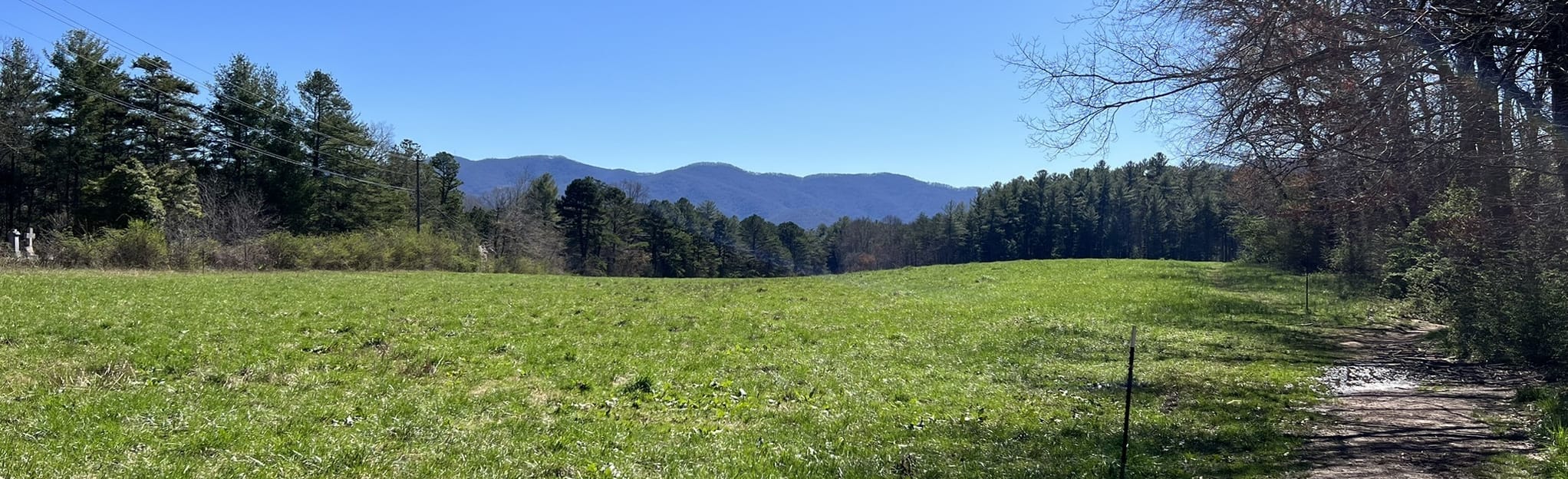 Big Berea Trail, Bull Creek Trail, and White Pine Loop: 851 Reviews ...