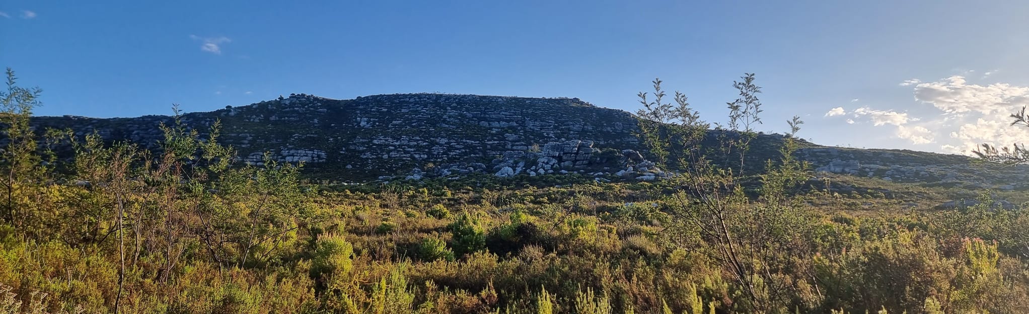 Sentinel Lookout via Silvermine Dam: 234 foto - provincia del Capo ...