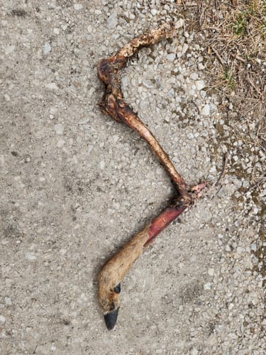 Best Hikes and Trails in BeeTree Preserve | AllTrails