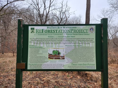 Best Hikes and Trails in BeeTree Preserve | AllTrails