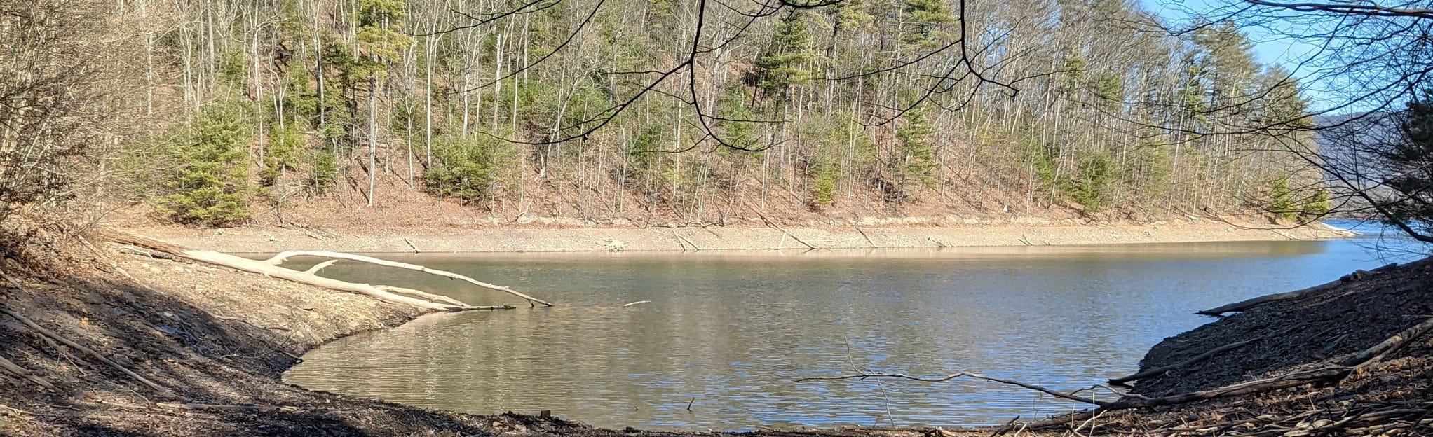 Old Loggers and Stony Trail Loop | Map, Guide - Pennsylvania | AllTrails